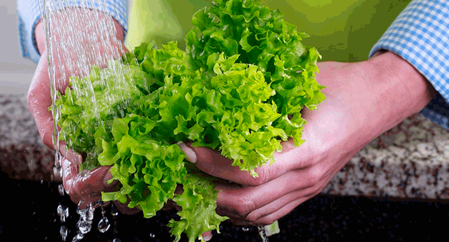 CGyA | Novedades | ¿Qué es la inocuidad alimentaria?